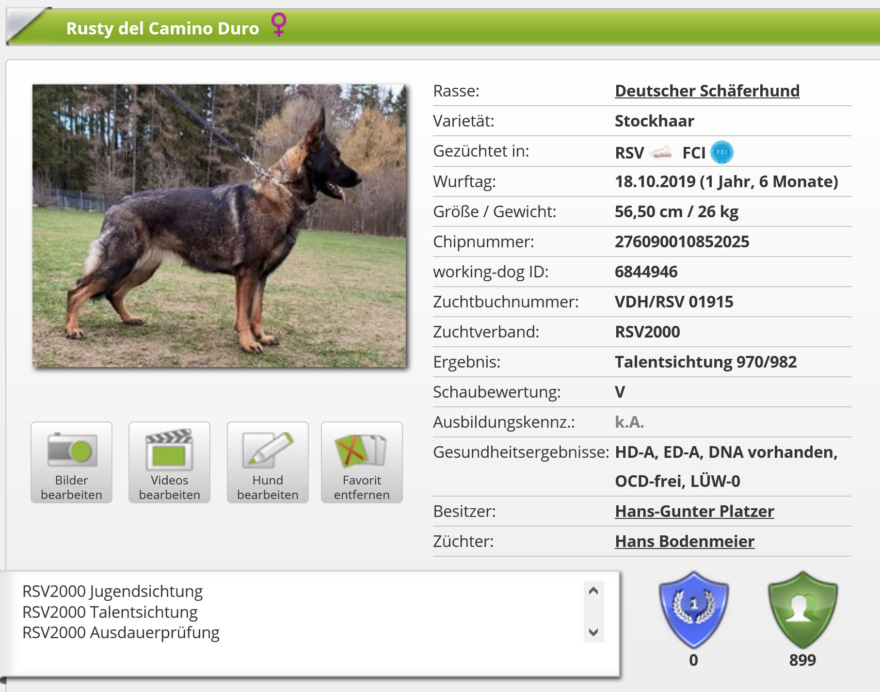 Rusty del Camino Duro/Zuchthündin